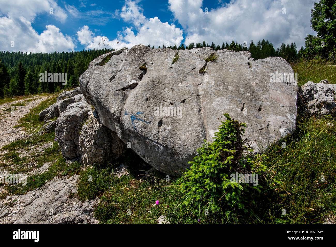 Large rock in alpine meadow with conifer forest and cloudy sky in ...