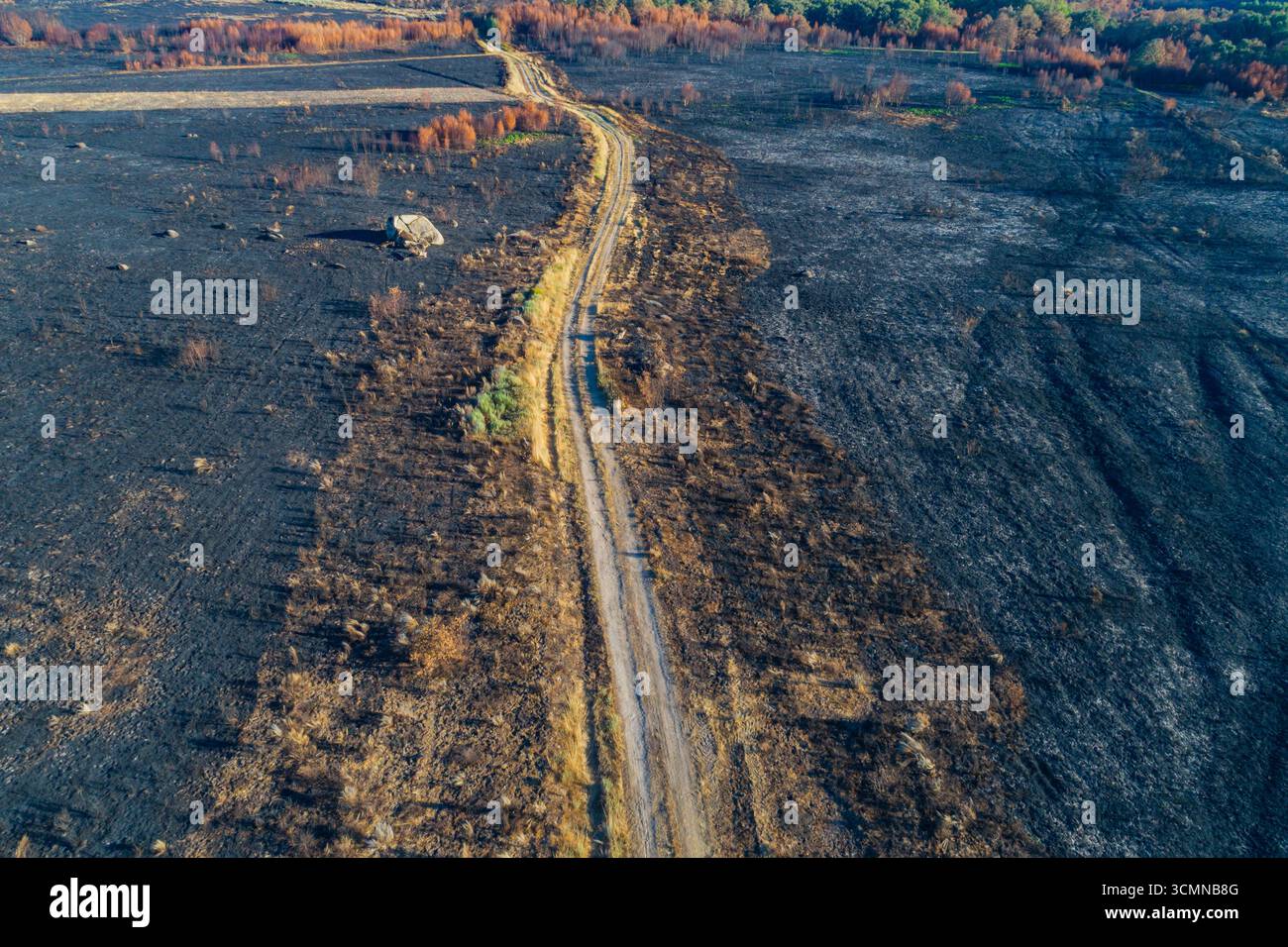 A path of destruction after a devastating forest fire, Climate Change ...