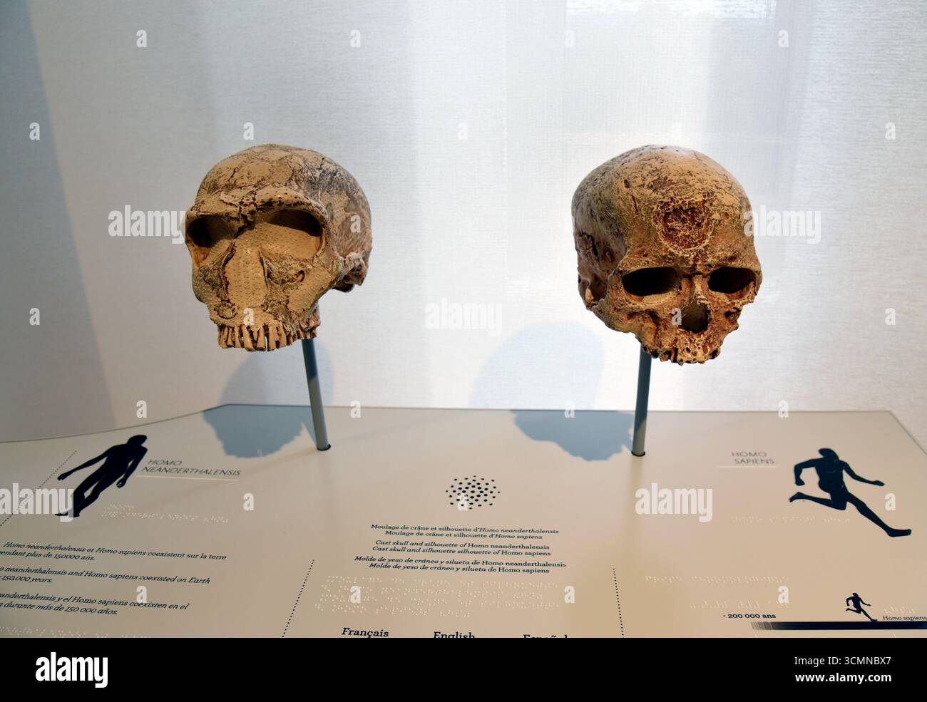 Musee de L'Homme (Museum of Mankind or Museum of Humanity) celebrates ...