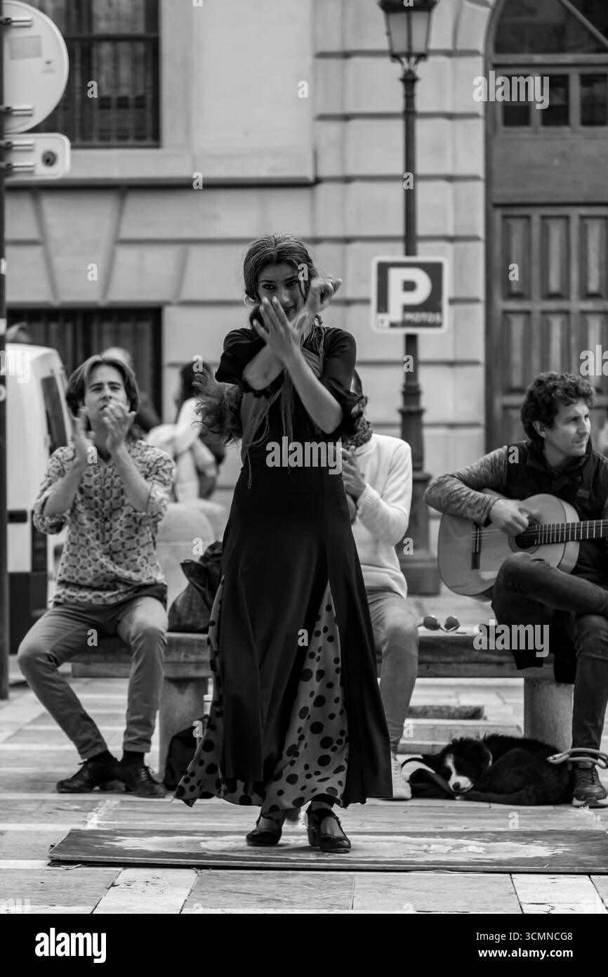Granada, Spain-Feb 26, 2022: Group of Gypsy artists performing flamenco ...