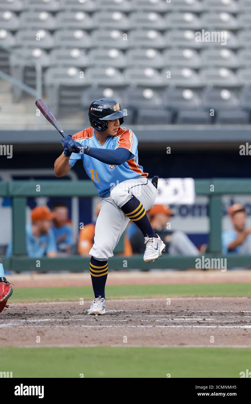 Montgomery Biscuits designated hitter Jadher Areinamo (11) at bat against the Knoxville Smokies ...