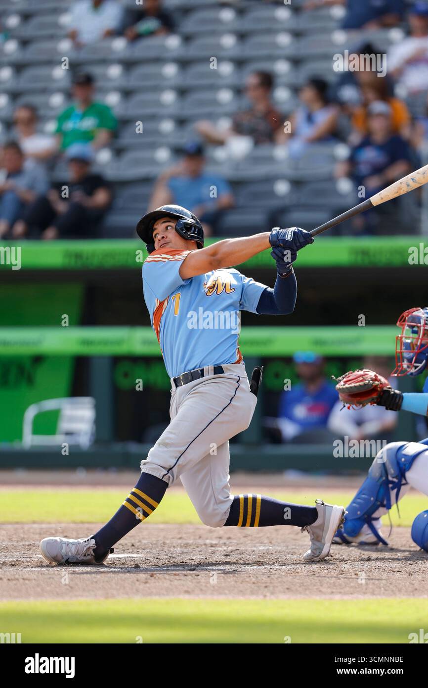 Montgomery Biscuits designated hitter Jadher Areinamo (11) at bat ...