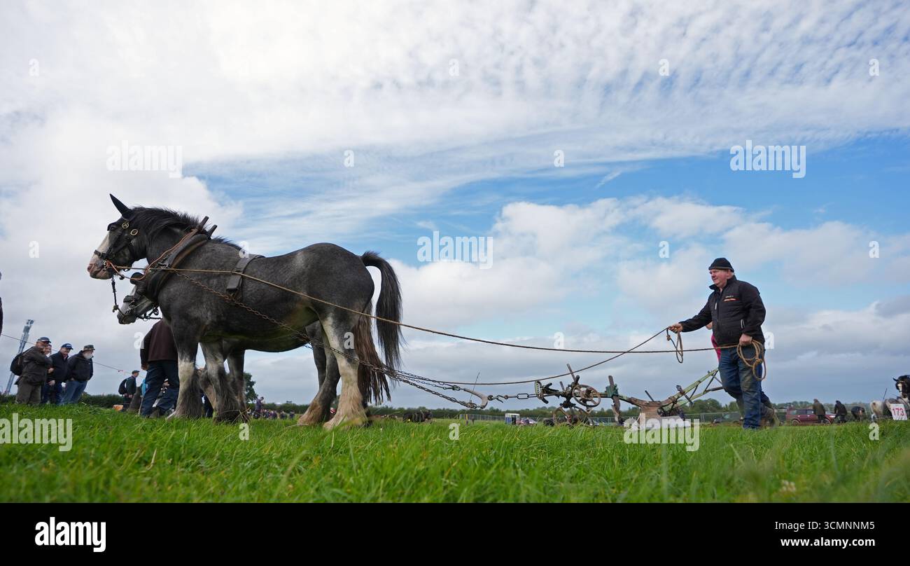 Tommy Pierce from Co Wicklow during the National Ploughing ...