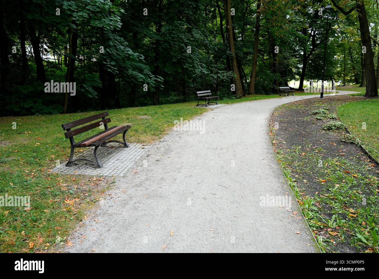 Park path benches trees hi-res stock photography and images - Alamy