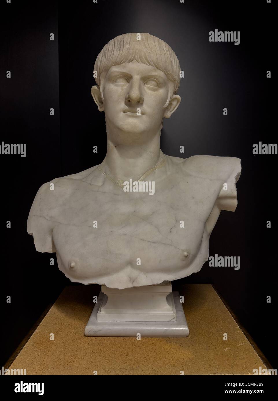 Archaeological Roman marble bust of young male figure exhibited in ...