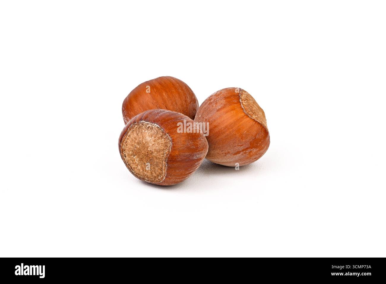 Nuts on tropical tree Cut Out Stock Images & Pictures - Alamy