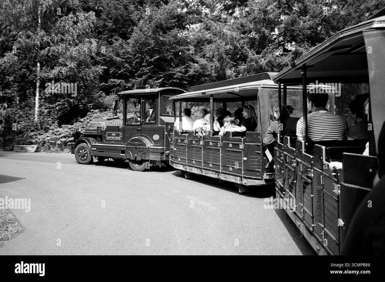 Land train at Centre parks, Longleat, Wiltshire, England, United ...