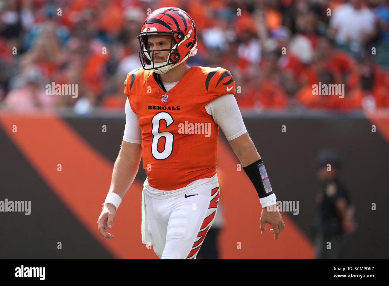 Cincinnati Bengals quarterback Jake Browning walks to the line of ...