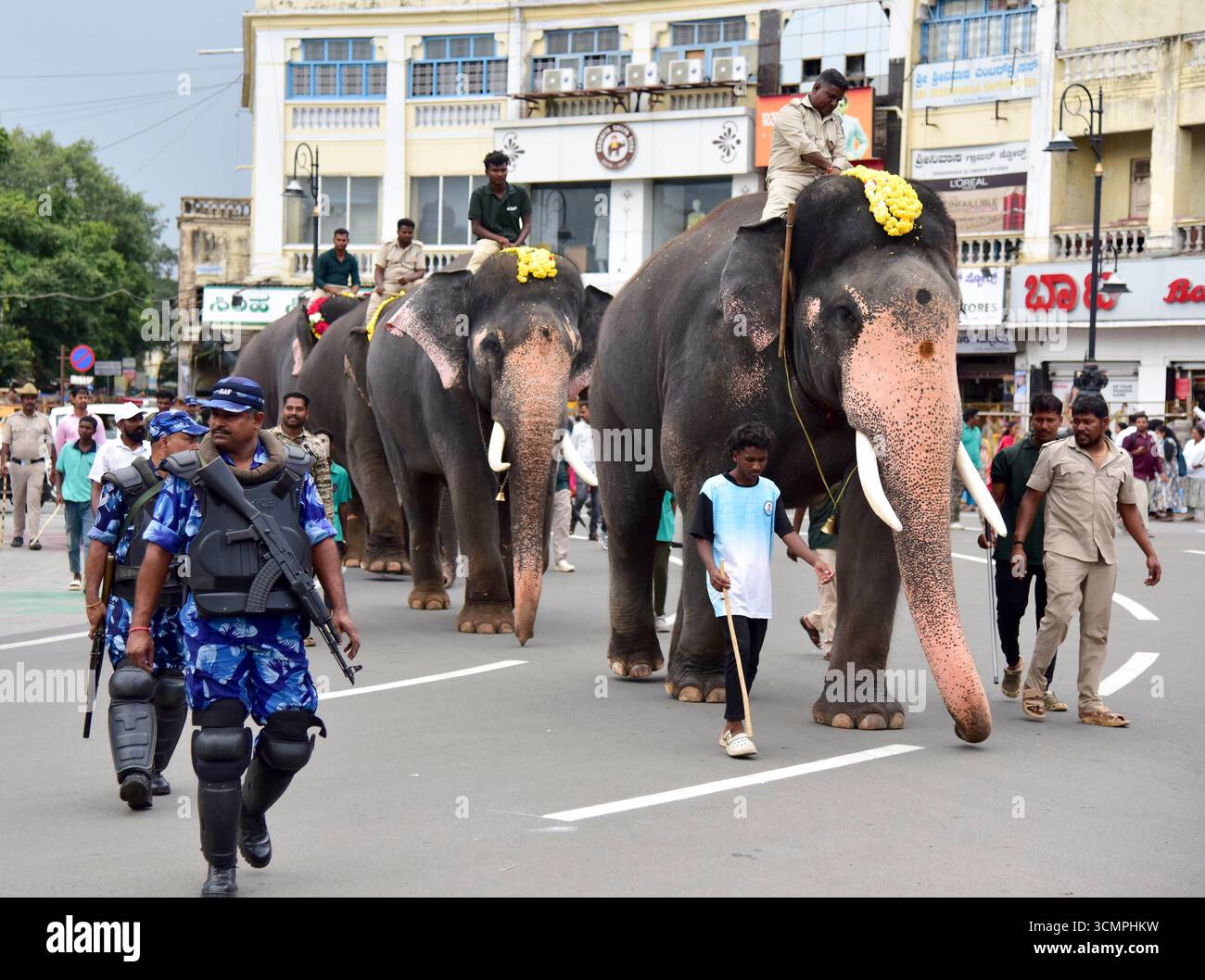 Mysore dasara elephant hi-res stock photography and images - Alamy