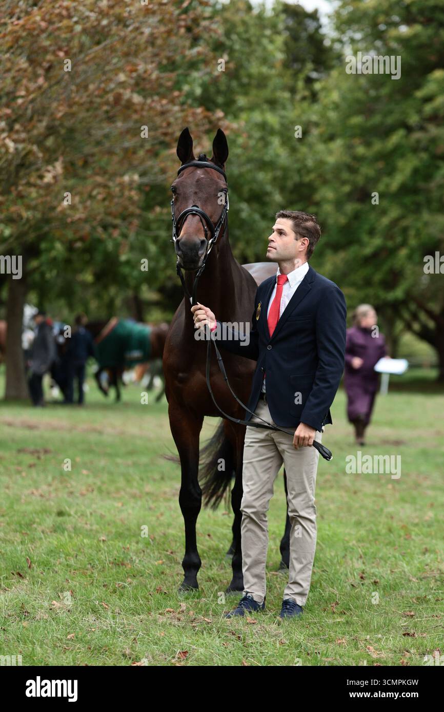 Wouter De Cleene of Belgium with Quintera during the first horse ...
