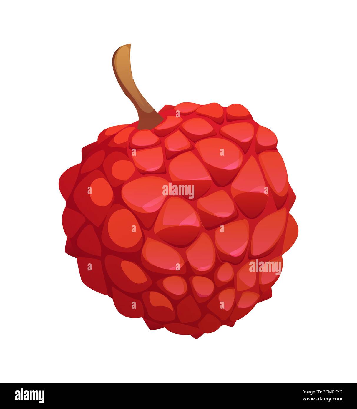 Lychee isolated small round Stock Vector Images - Alamy