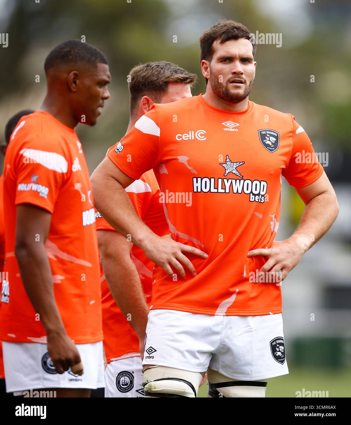 JJ Scheepers of the Hollywoodbets Sharks during Hollywoodbets Sharks ...