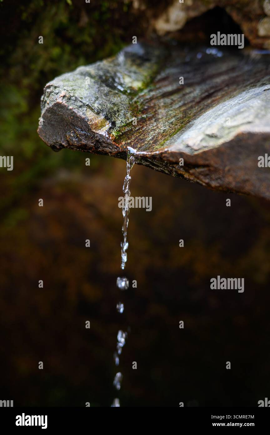 Clean spring water flows down from rock in thin stream, close-up ...