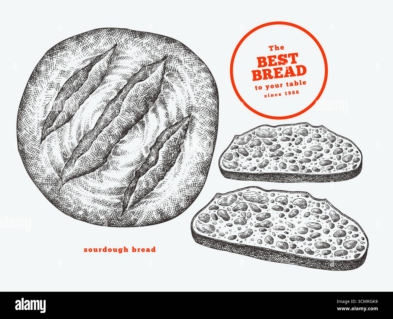 Hand Drawn Vector Sourdough Bread Illustration. Not AI Generated. Retro ...
