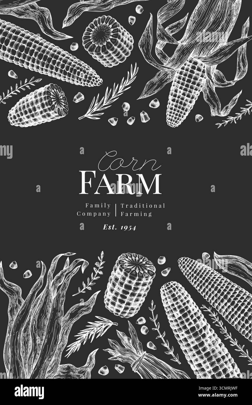 Hand Drawn Vector Sweet Corn Illustration. Not AI Generated. Autumn ...
