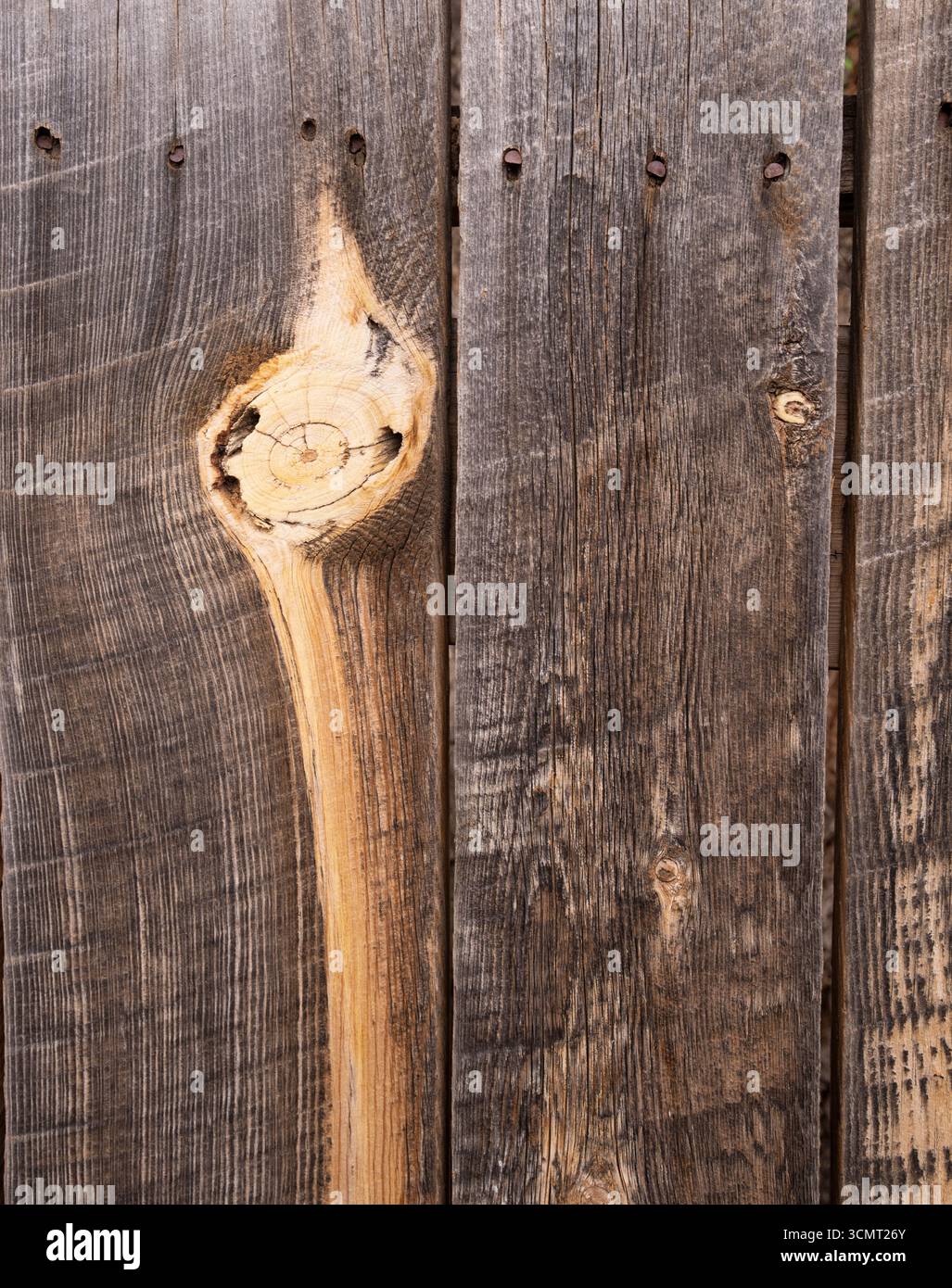 Odd pattern or shape in the grain of wood on a wood slat of a wooden ...