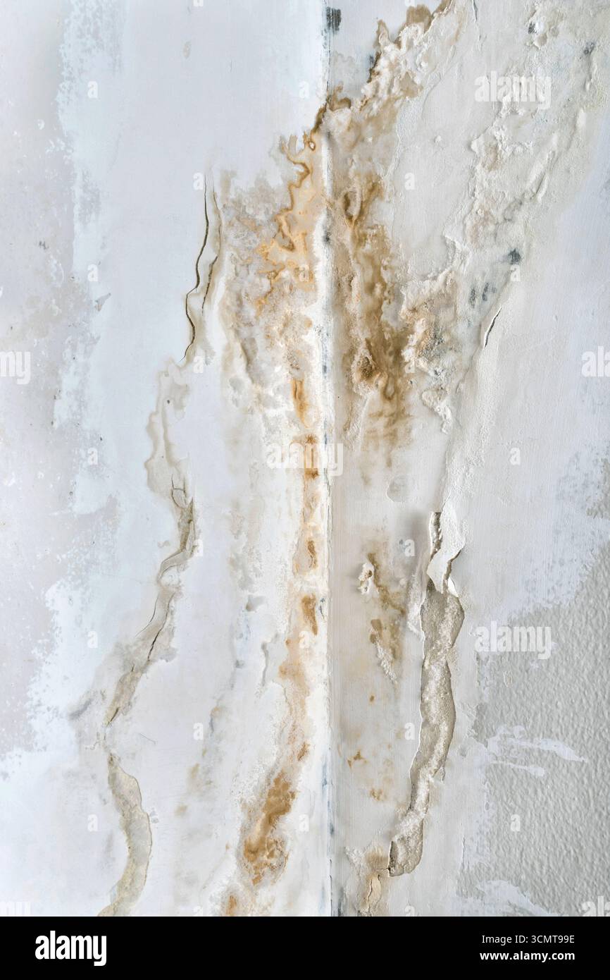 Wall with vertical damp stains, corrosion and mold growth Stock Photo ...