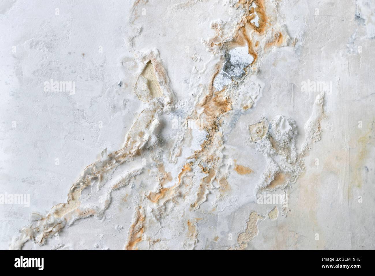 Severe moisture corrosion mold hi-res stock photography and images - Alamy