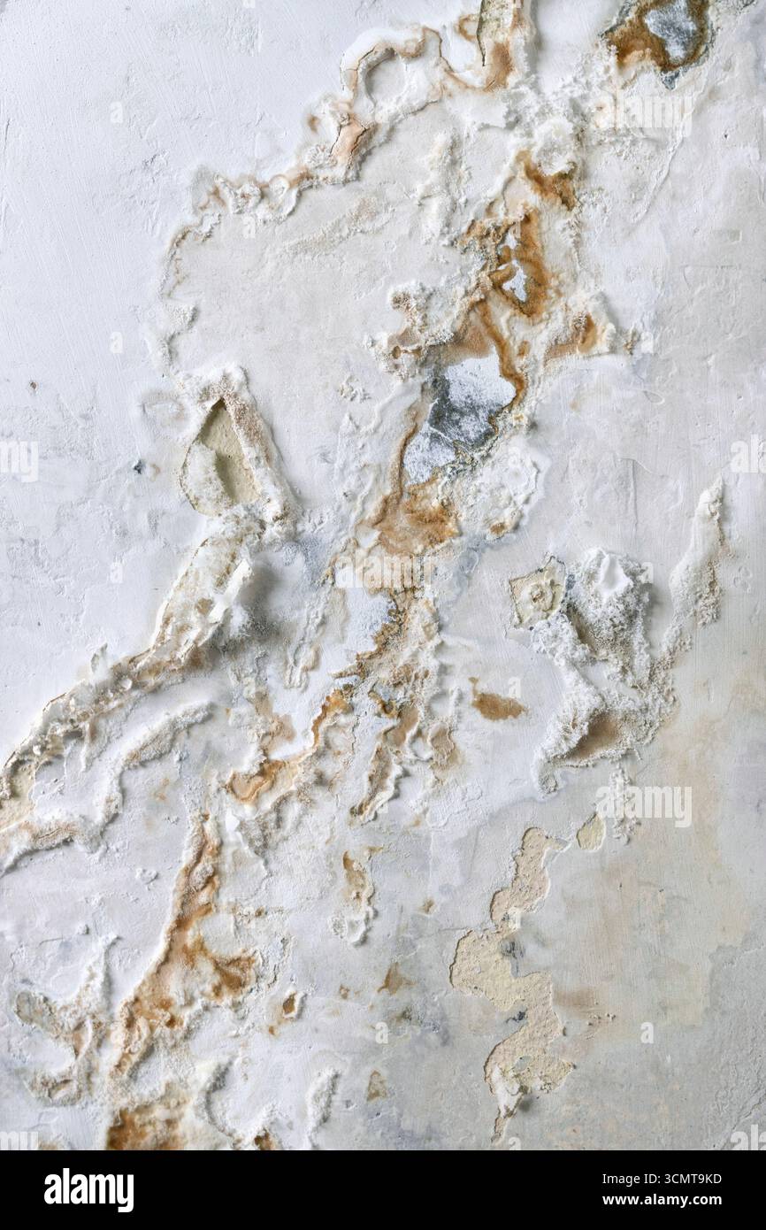 Wall with vertical damp stains, corrosion and mold growth Stock Photo ...