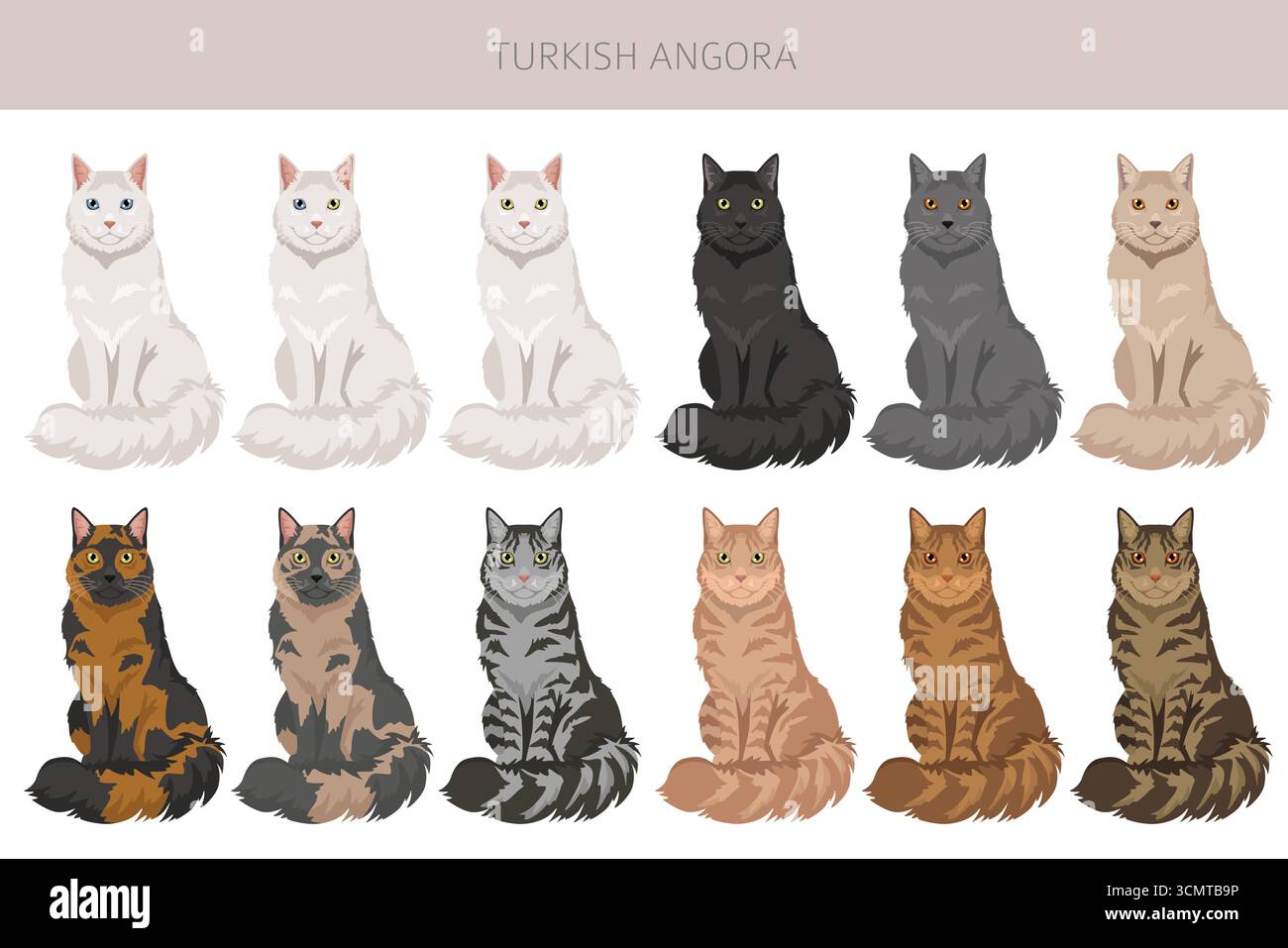 Turkish Angora Cat clipart. All coat colors set. All cat breeds ...