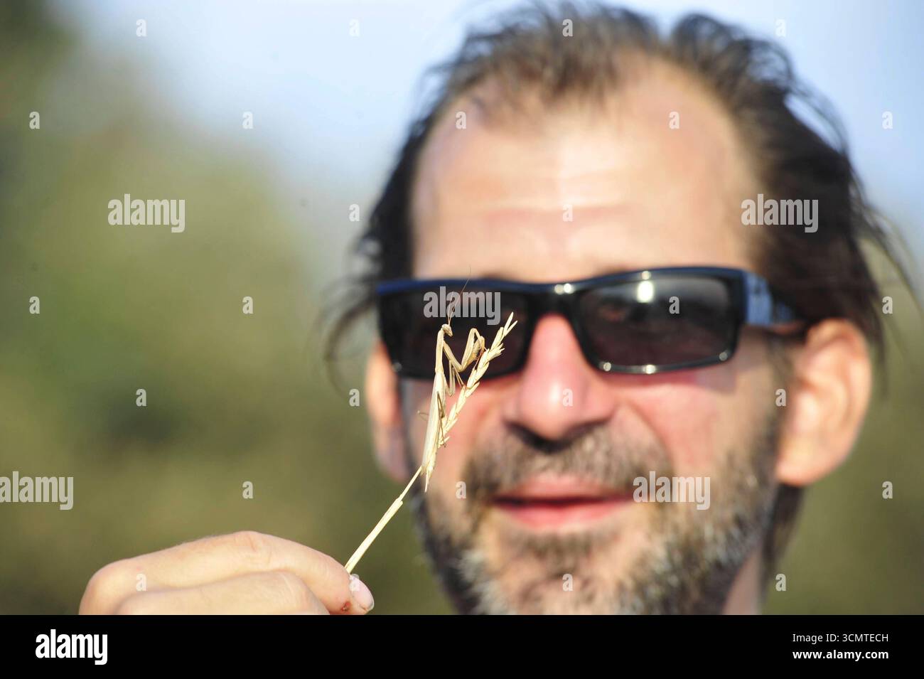 a man holding a praying manits on a wheat ear praying manits on a wheat ...