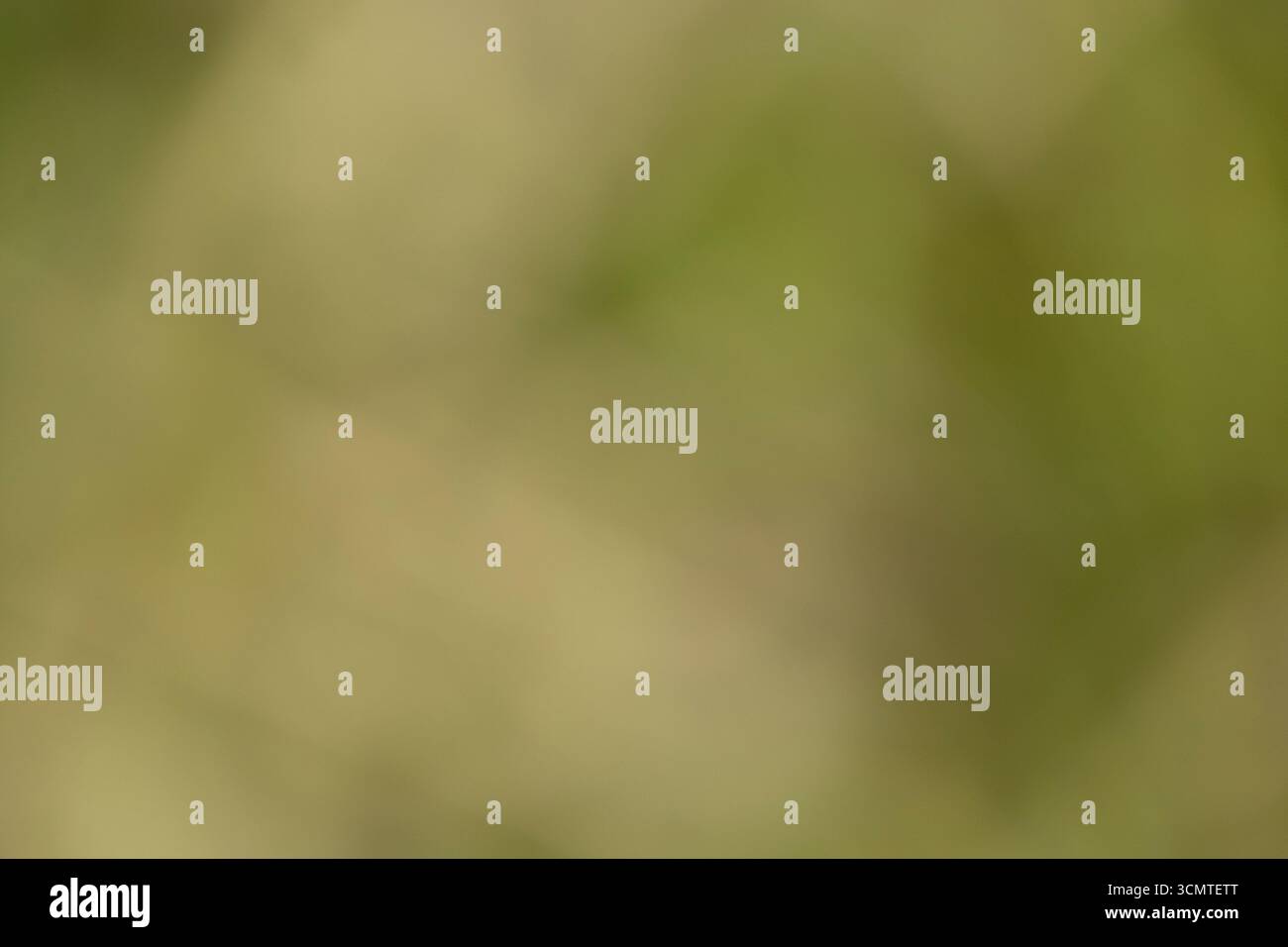 Background texture featuring neutral hi-res stock photography and ...