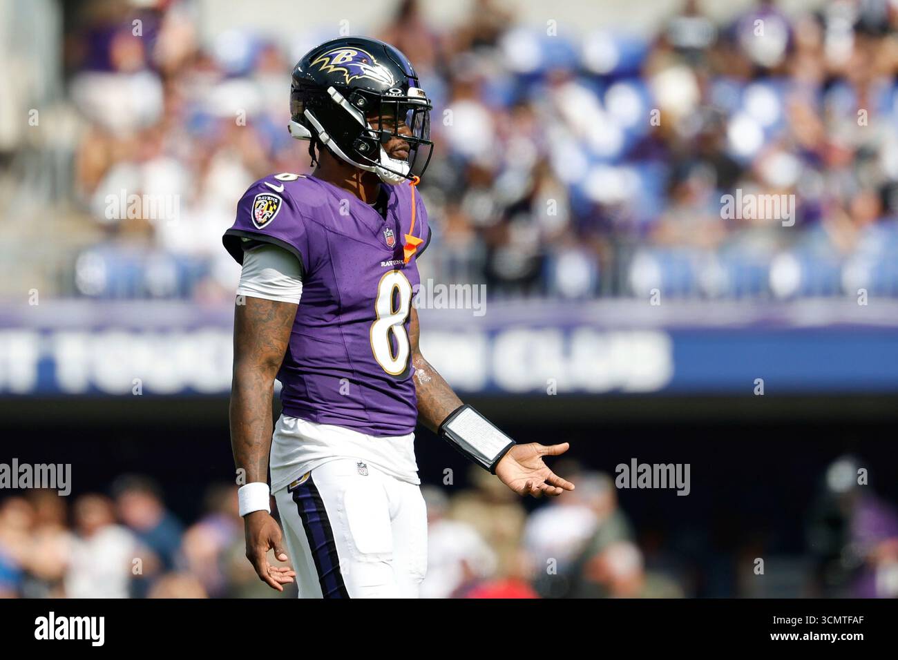 Baltimore Ravens quarterback Lamar Jackson (8) looks on between plays ...