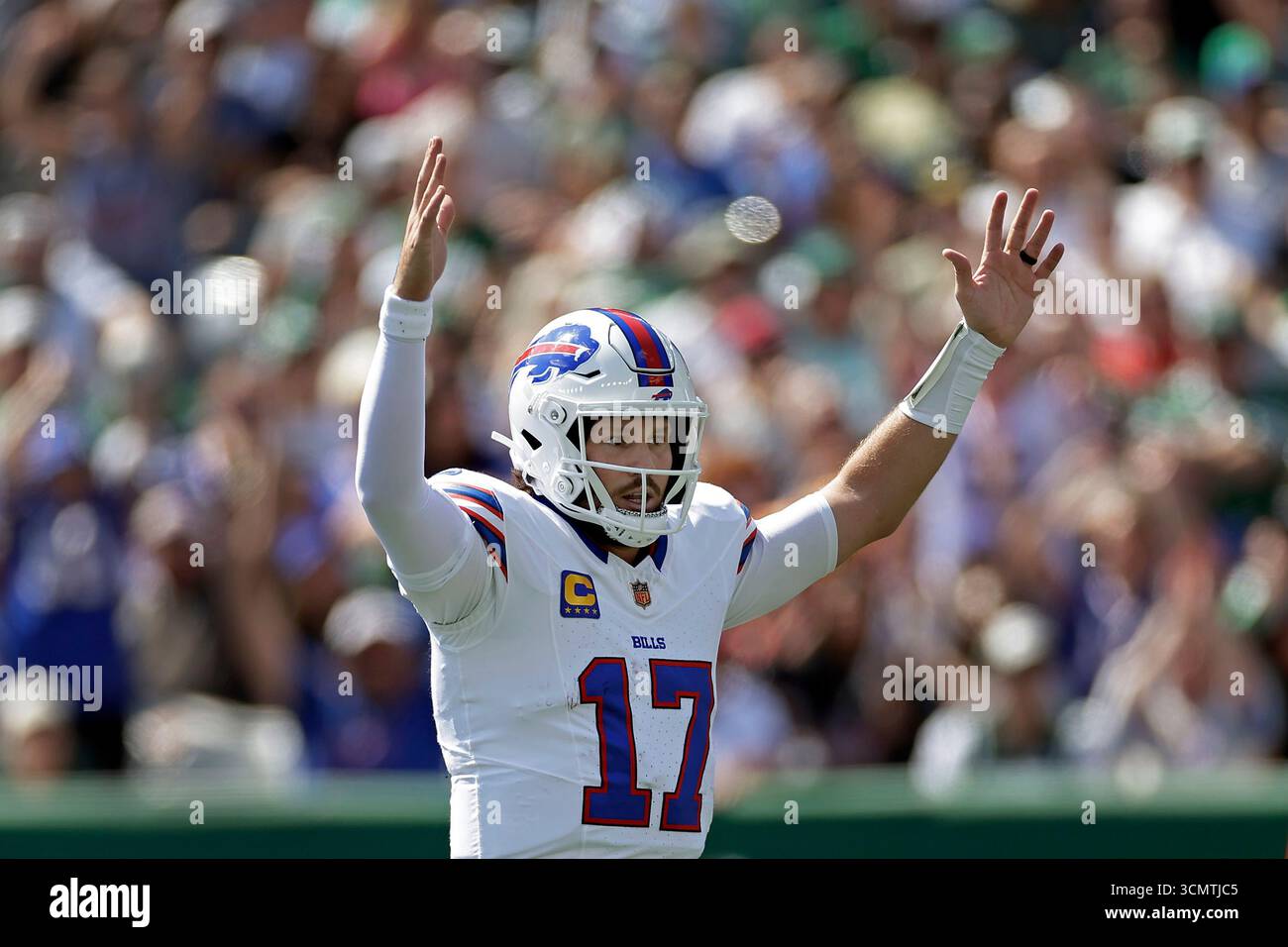 Buffalo Bills quarterback Josh Allen (17) reacts after a touchdown ...