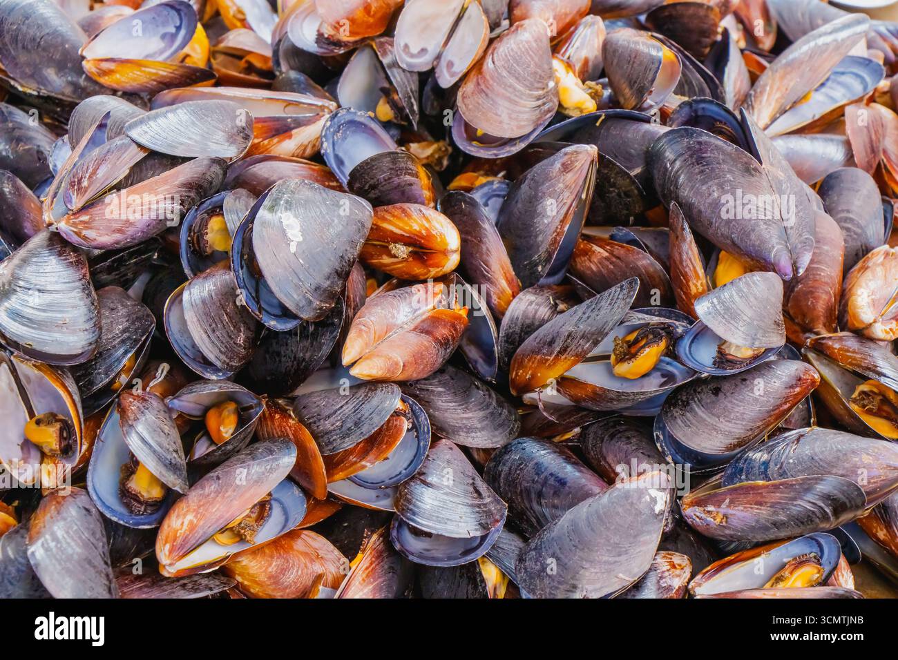 Pile raw mussels in close hi-res stock photography and images - Alamy
