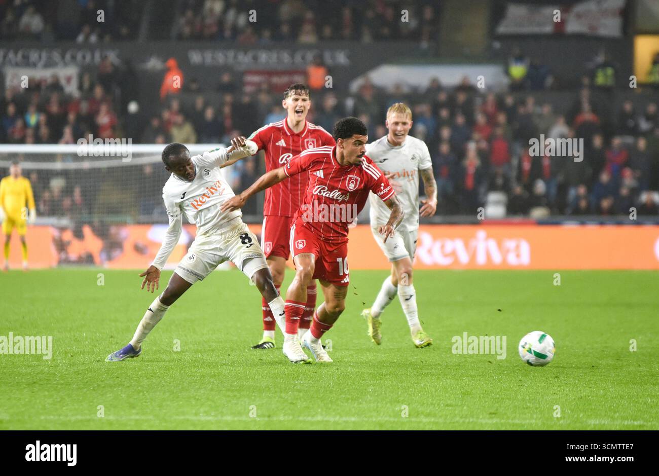 Gibbs white nottingham hi-res stock photography and images - Alamy