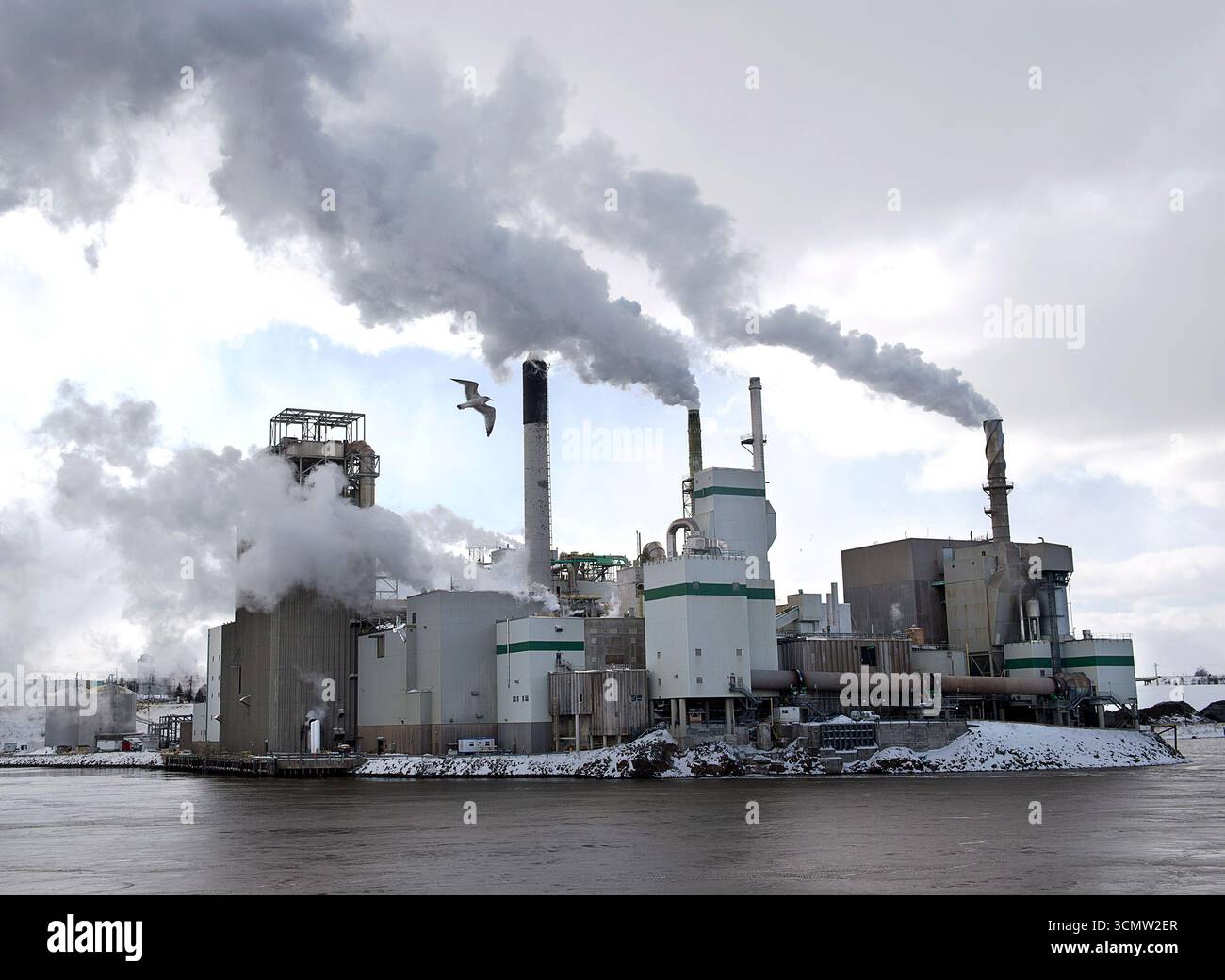 An Irving Pulp and Paper Ltd. mill is seen in Saint John, N.B., on ...
