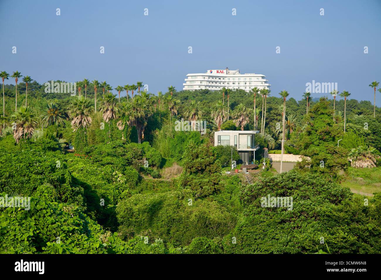 Seogwipo KAL Hotel rises above a belt of palm trees and subtropical ...