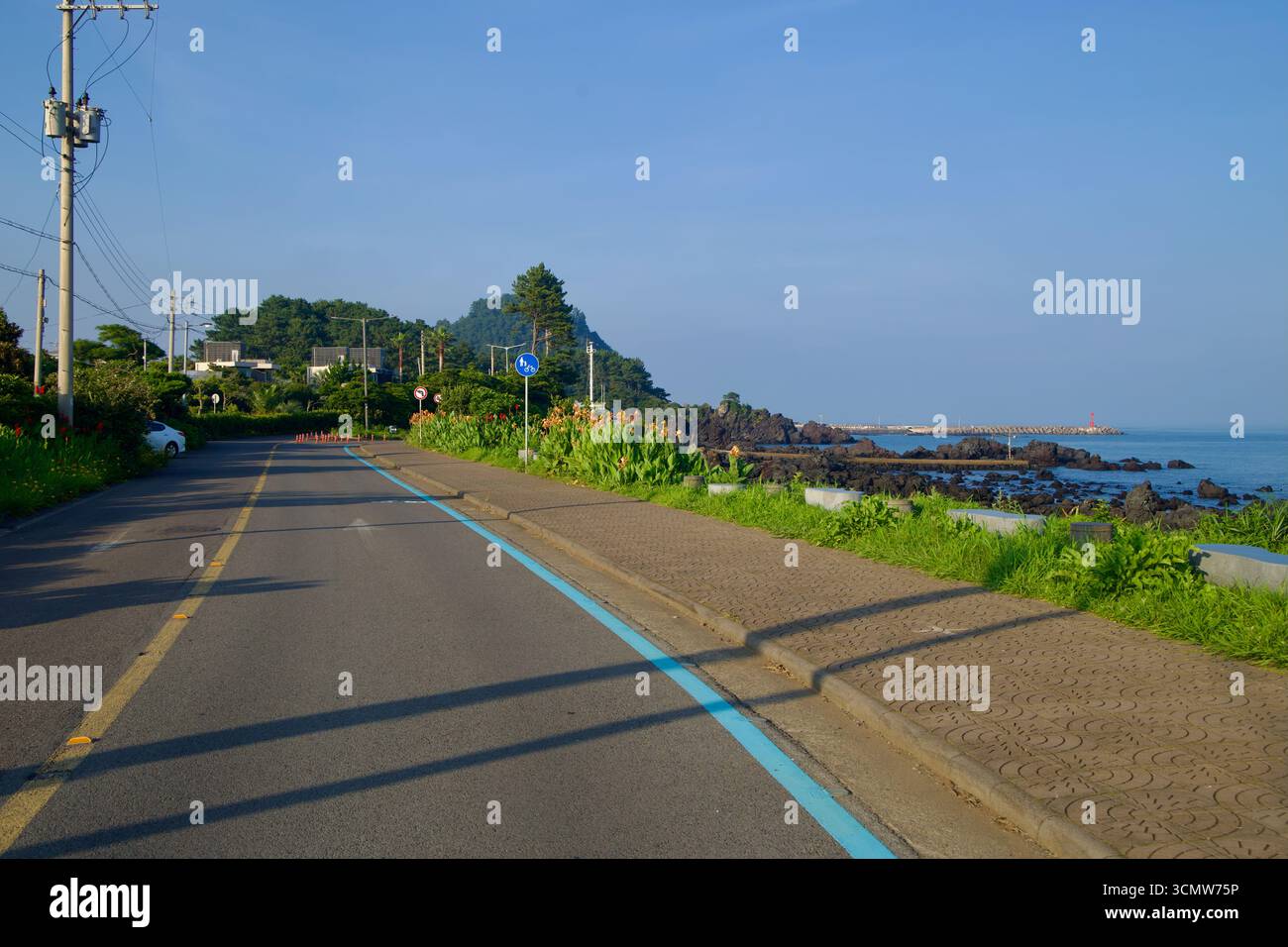 A coastal road with a blue bike lane follows the lava rock shoreline ...