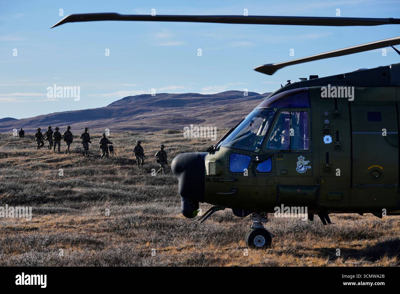 Danish military forces participate in an exercise with hundreds of ...