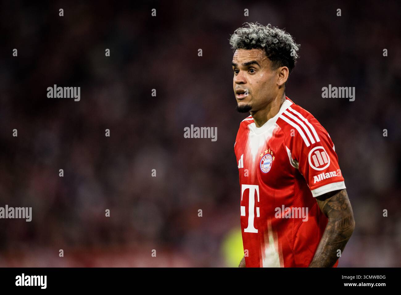 Luis Diaz (FC Bayern M?nchen, 14) UEFA Champions League, FC Bayern M?nchen - FC Chelsea; M?nchen ...