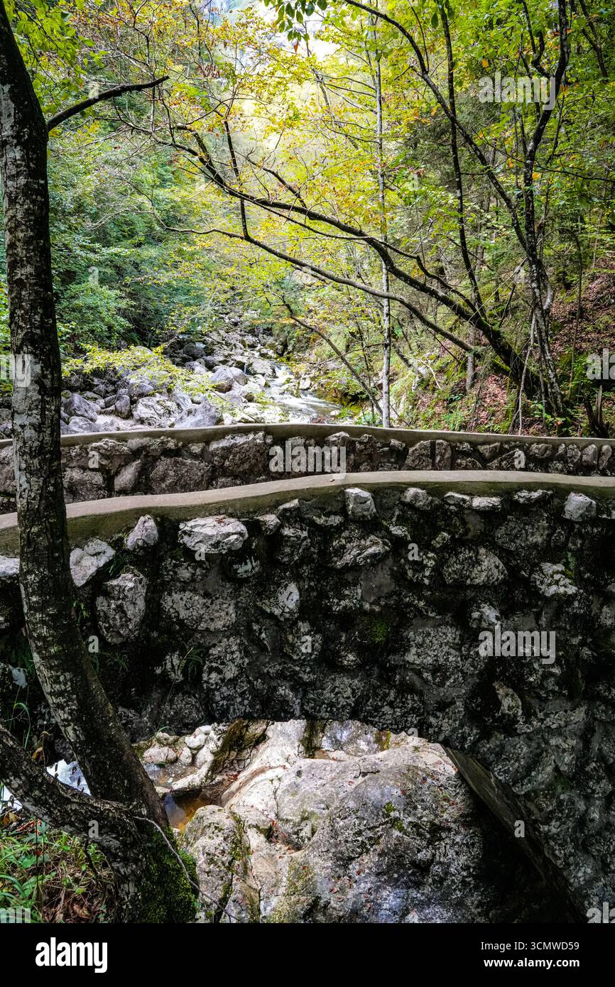 Stone Bridge And Steps Leading To The Savica Waterfall (Slap Savica) In ...