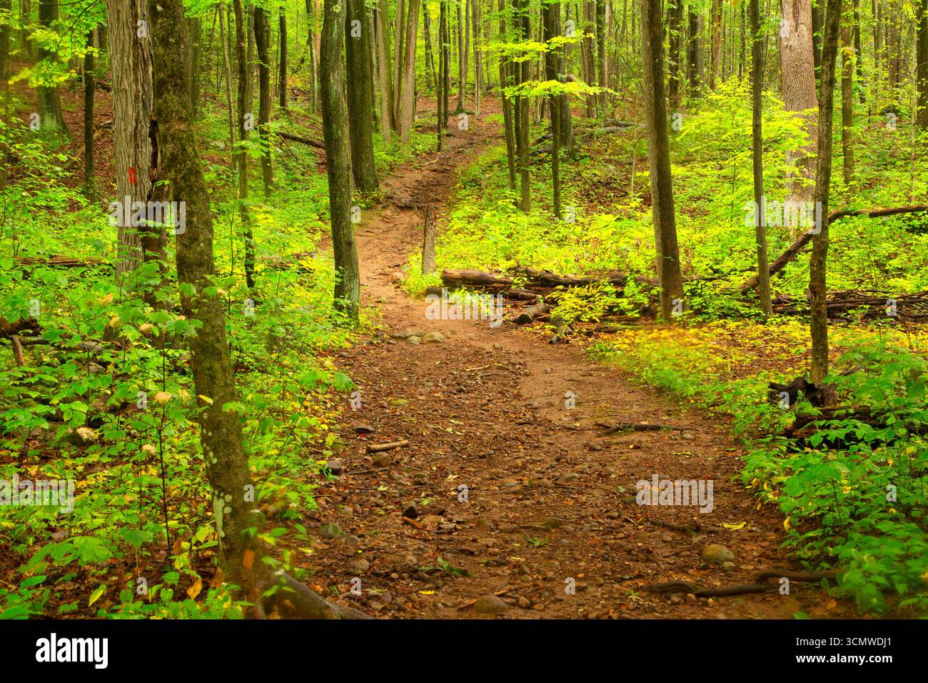 Roaring Brook Falls Trail, Roaring Brook Falls Park, Cheshire ...