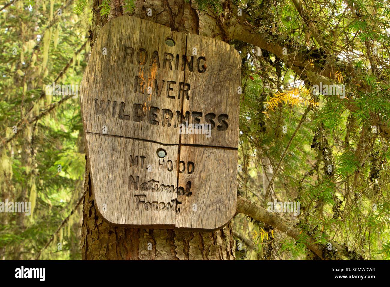 Wilderness boundary sign along Shellrock Lake Trail, Mt Hood National ...