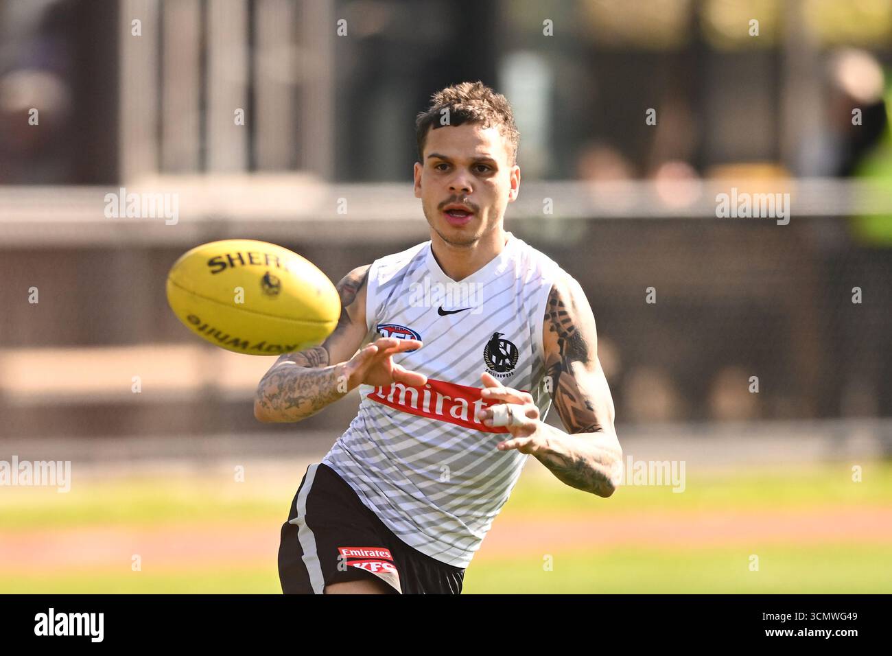 Bobby Hill of Collingwood in action during a Collingwood Magpies ...