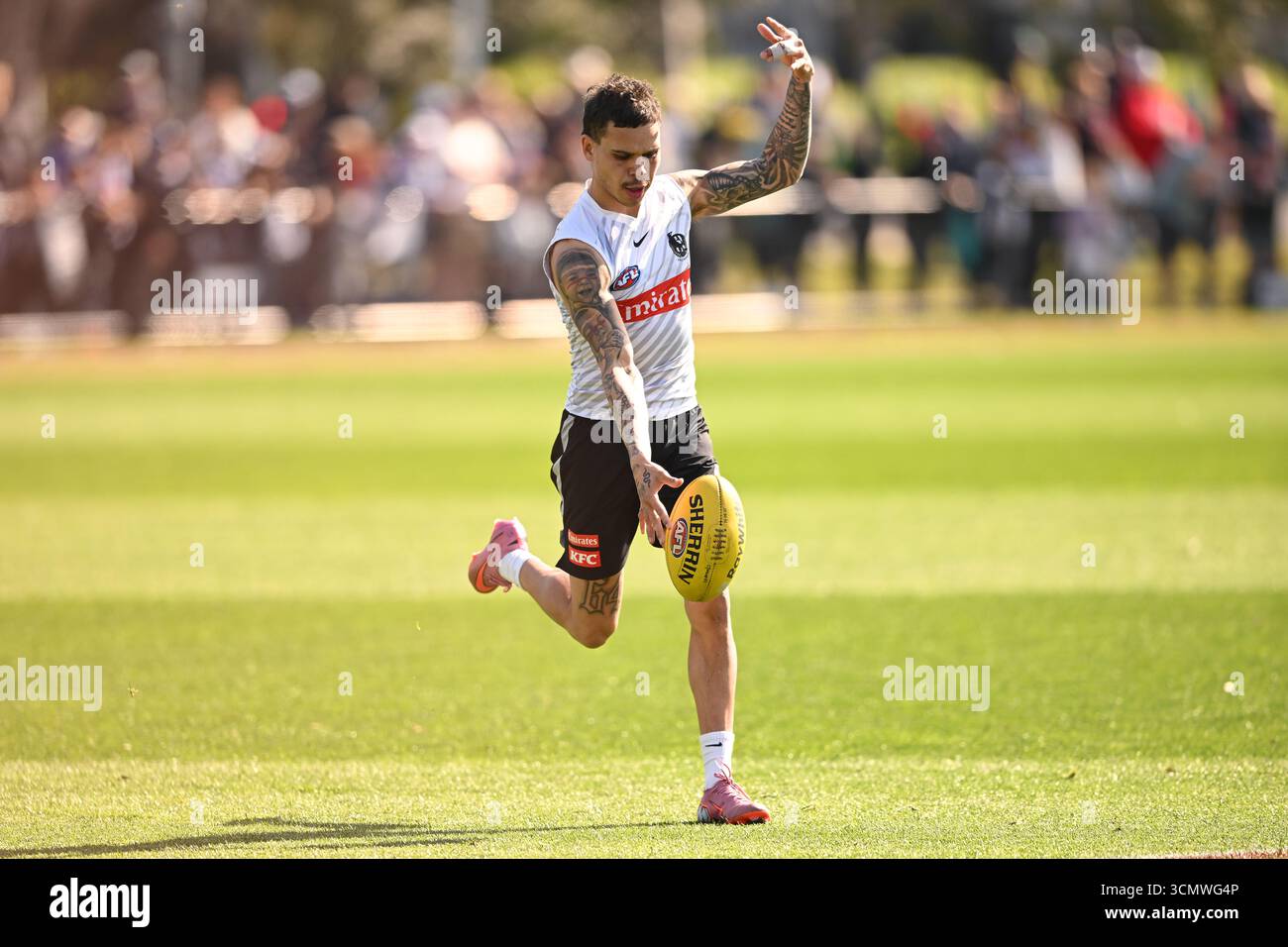 Bobby Hill of Collingwood in action during a Collingwood Magpies ...