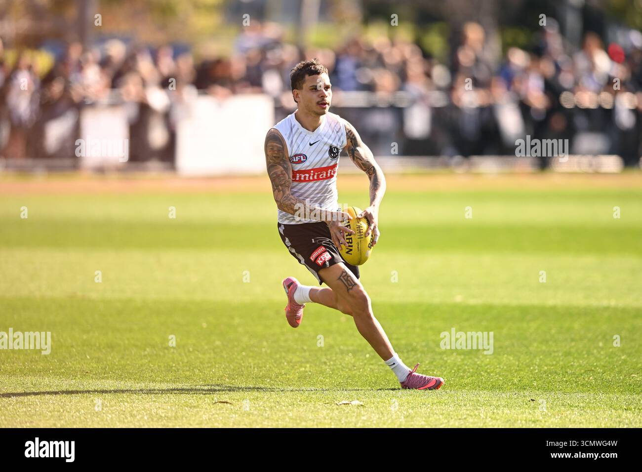 Bobby Hill of Collingwood in action during a Collingwood Magpies ...
