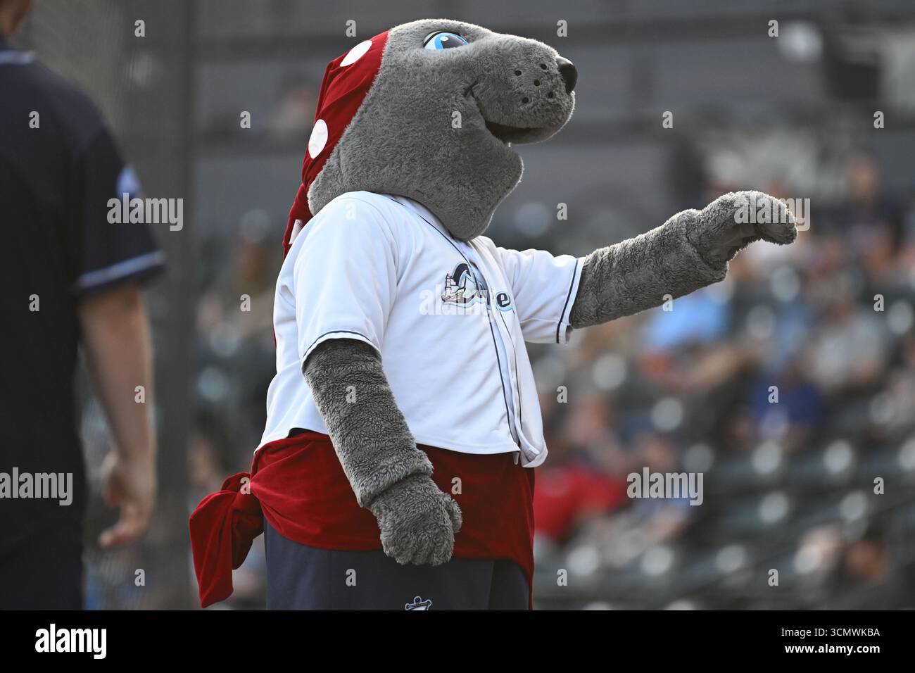 September 17, 2025: Columbus Clippers mascot, LouSeal performs in the ...