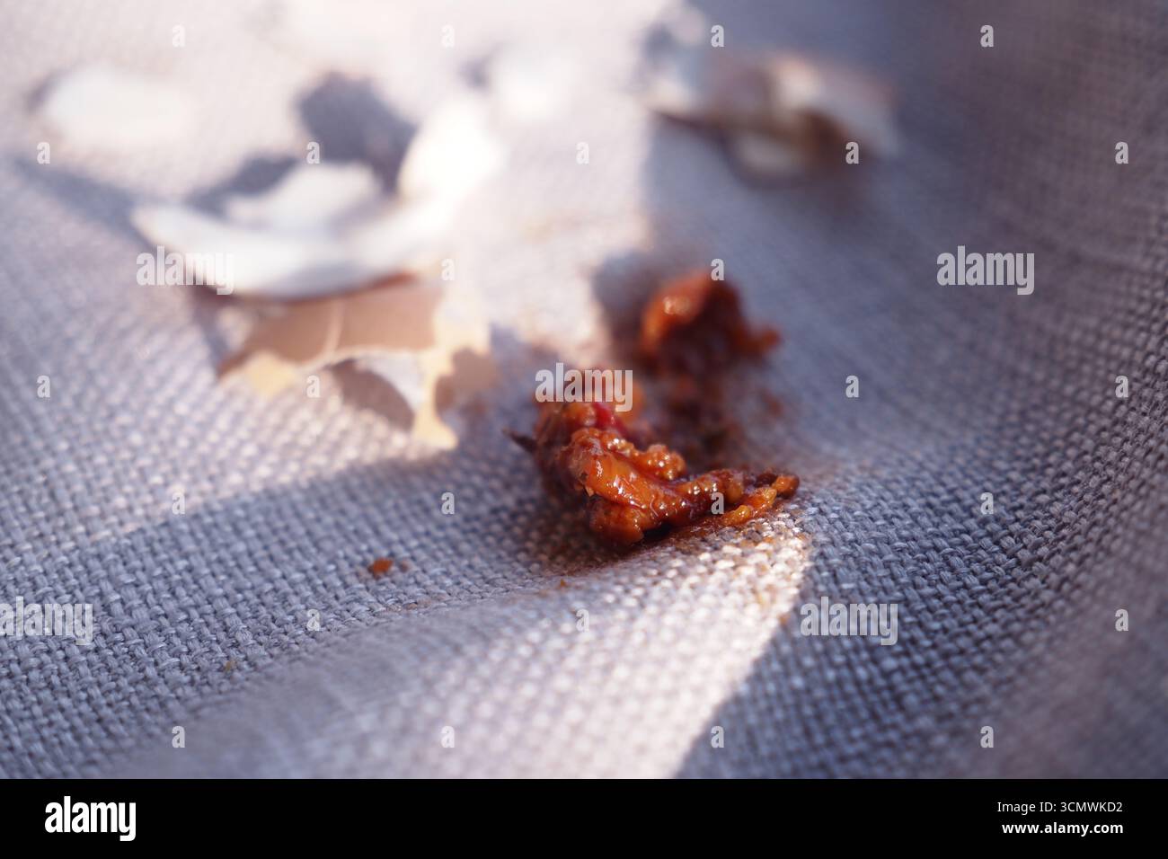 Spill food on family table hi-res stock photography and images - Alamy
