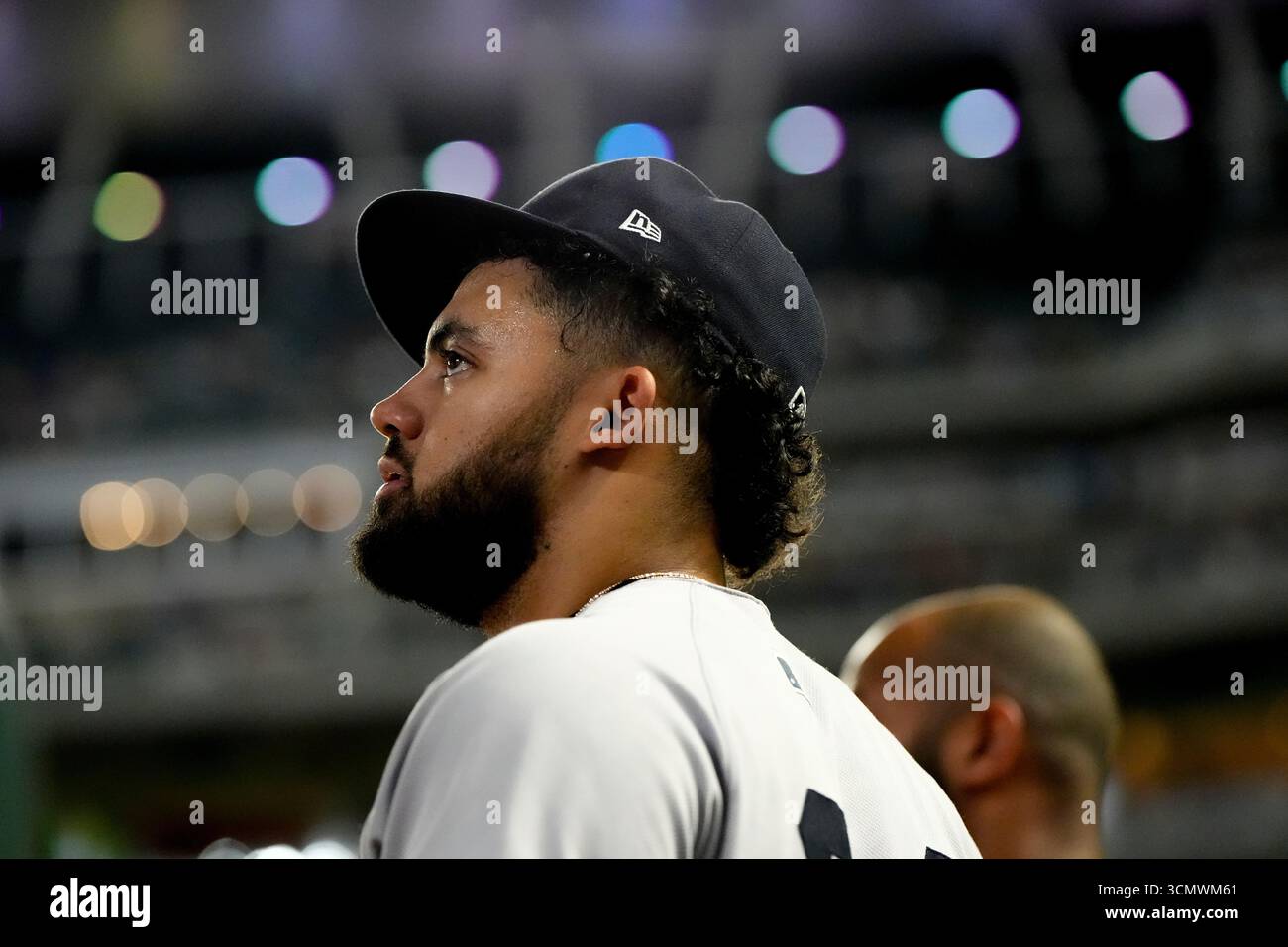 New York Yankees outfielder Jasson Domínguez (24) stands in the dugout ...