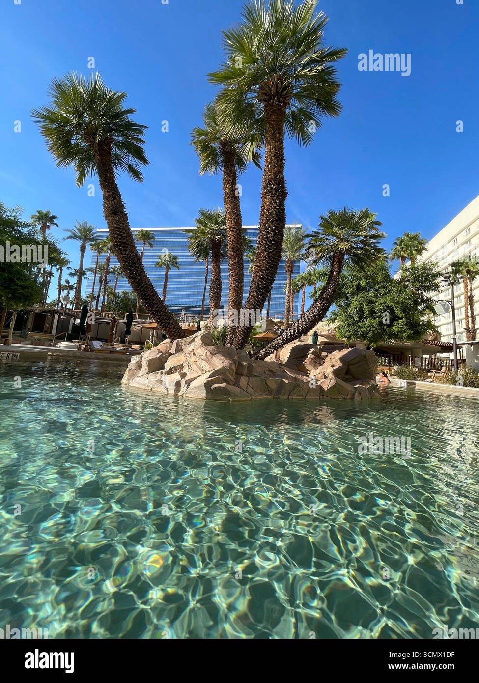 Photo by: STRF/STAR MAX/IPx 2025 9/17/25 Atmosphere at the Virgin Hotel ...
