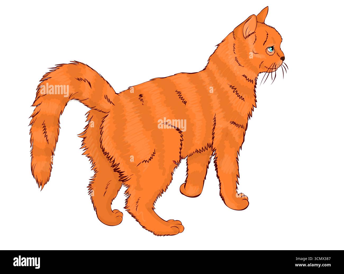 Cute tabby cat pumpkin hi-res stock photography and images - Alamy