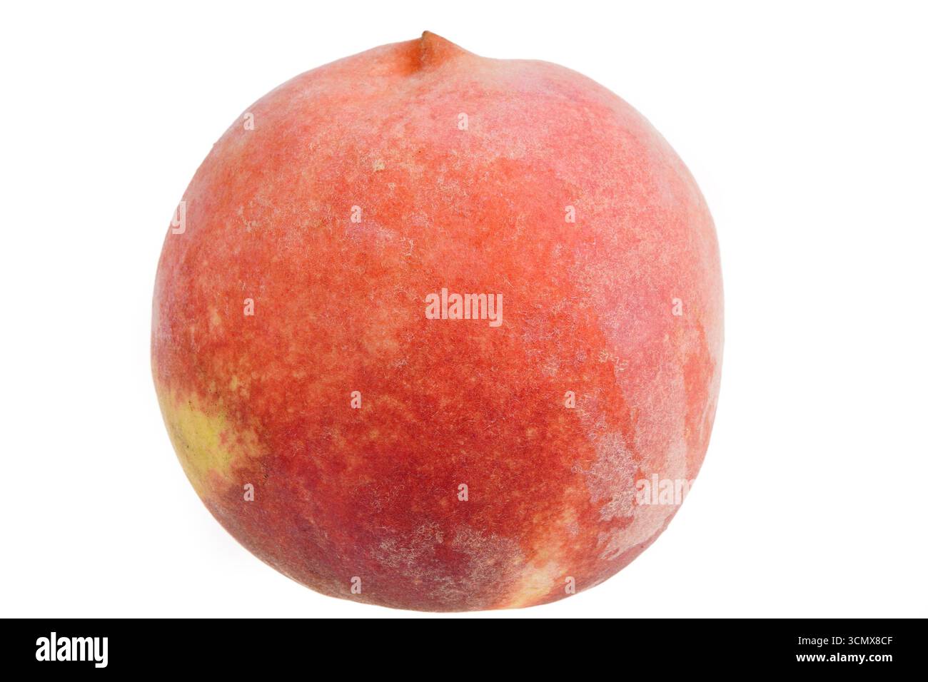 Macro shot peach on Cut Out Stock Images & Pictures - Alamy