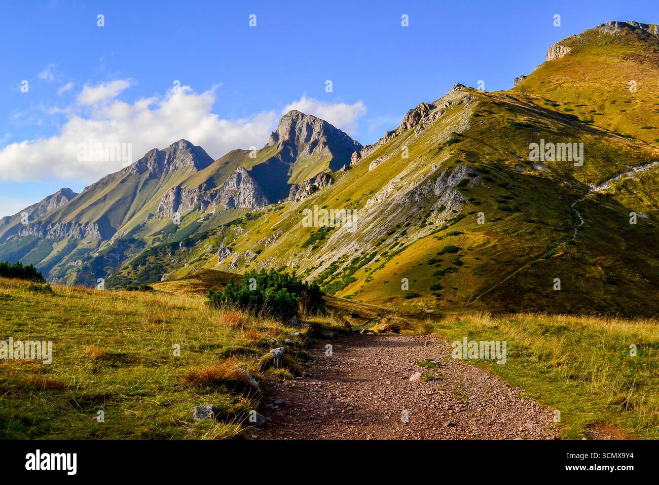 Tatra nationla park hi-res stock photography and images - Alamy