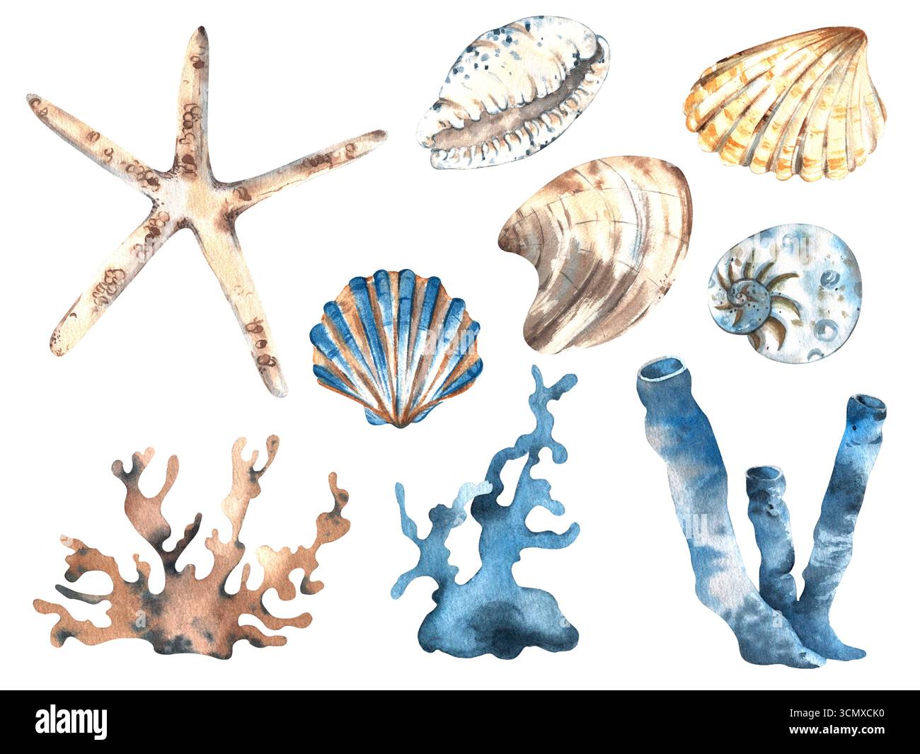 A set of watercolor marine-themed objects. Corals, shells, seaweed, and ...