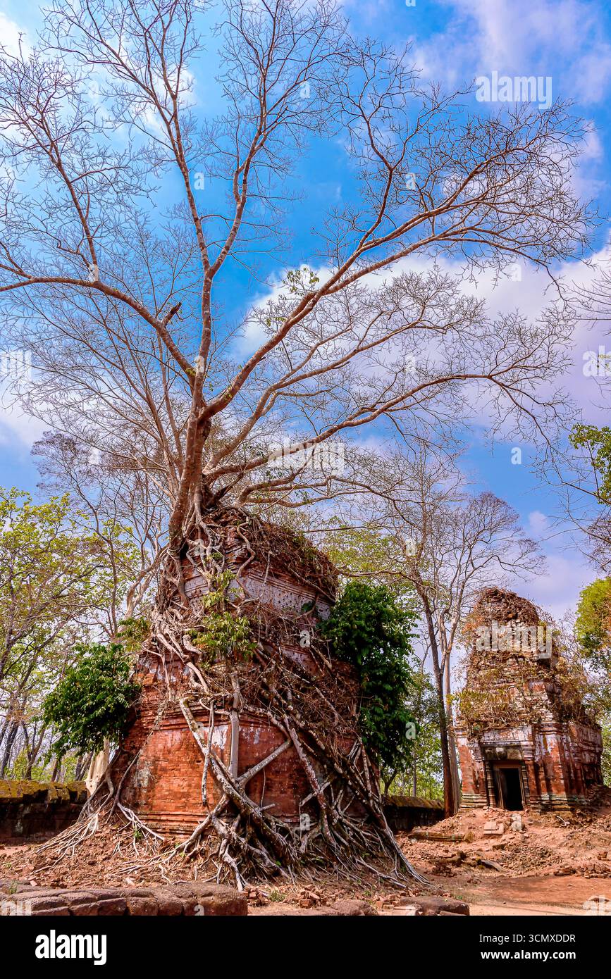 Tree roots wrapped around a tower of Prasat Pram Temple ruins at Koh ...